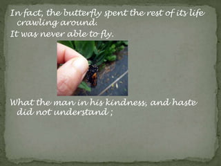 The butterfly story | PPTX