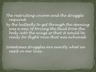 The butterfly story | PPTX