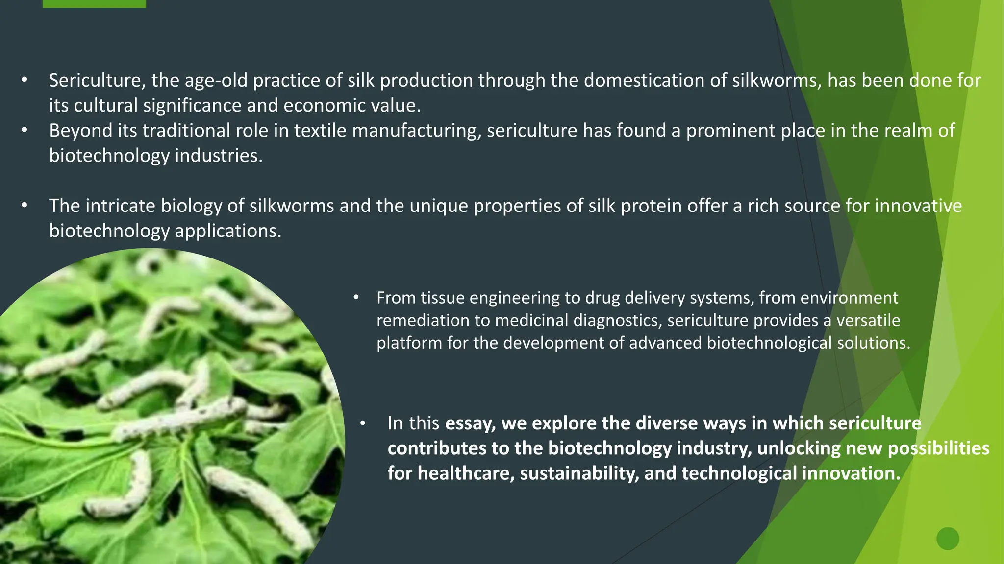 The byproduct of sericulture in different industries.pptx