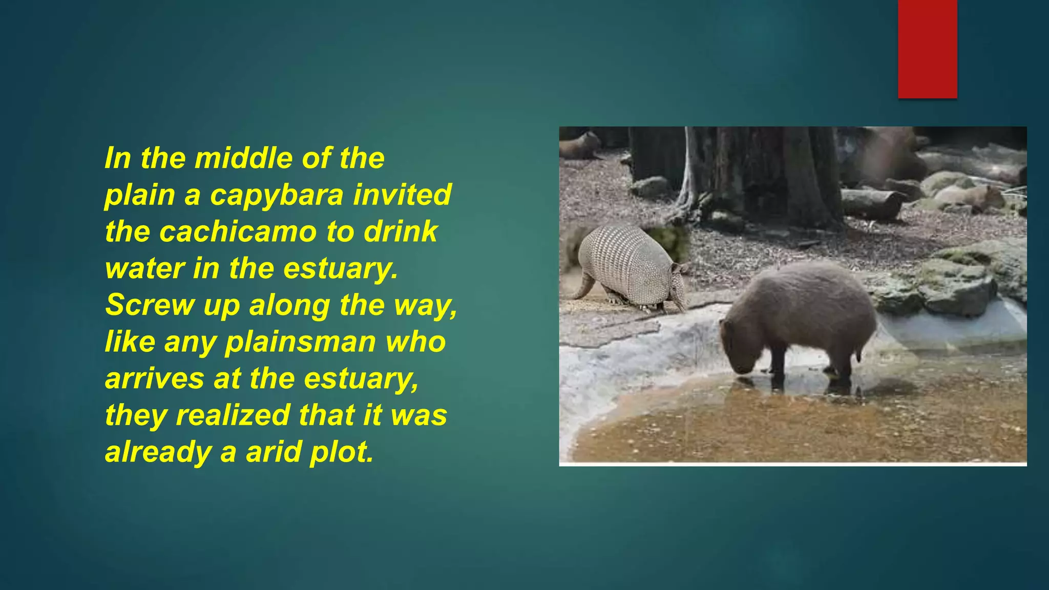 The cachicamo and capybara.pptx