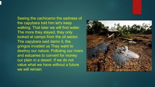The cachicamo and capybara.pptx