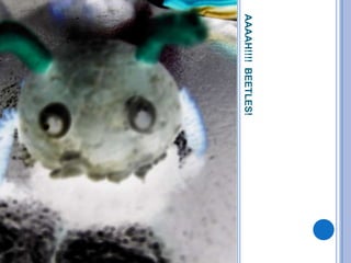 The Calculus Crusaders Accumulation Function | PPTX