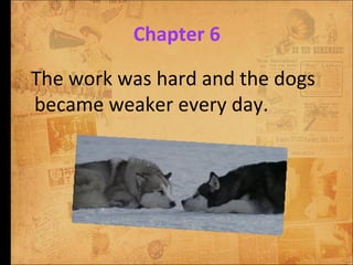 The call of the wild | PPT