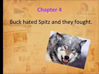 The call of the wild | PPT