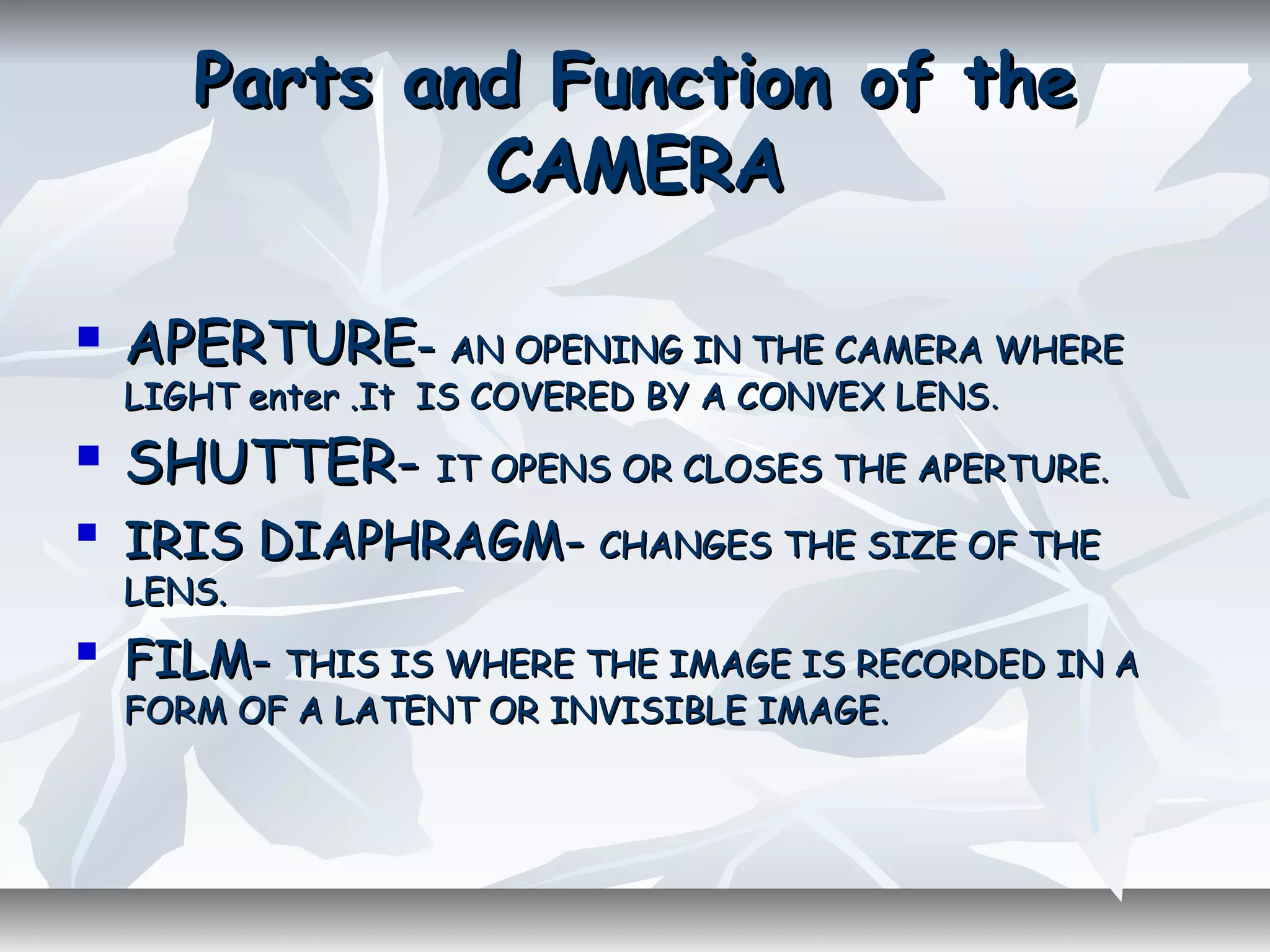 The Camera and the Eye | PPT