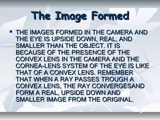 The Camera and the Eye | PPT | Photography | Arts and Crafts