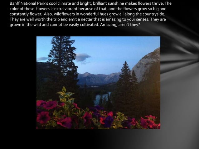 The canadian wilderness photo essay | PPT