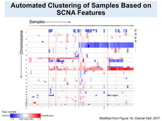 The Cancer Genome Atlas Update | PDF