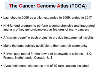 The Cancer Genome Atlas Update | PDF