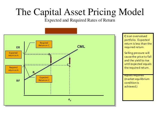 The capital asset pricing model (capm)
