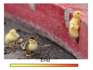 The Meme / Caption Game | PPTX