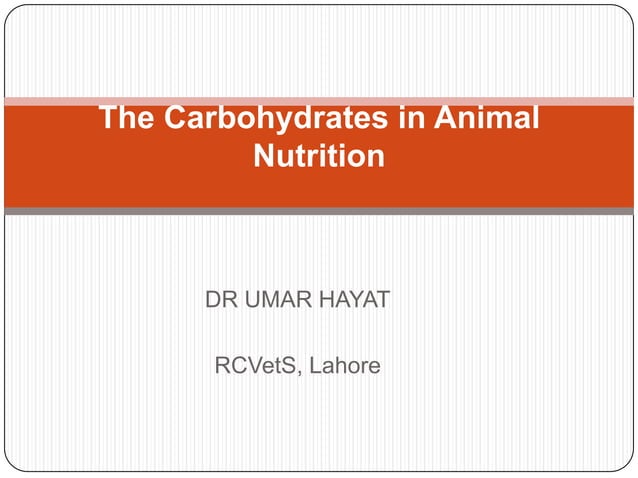 The carbohydrates in animal nutrition | PPTX | Chemistry | Science