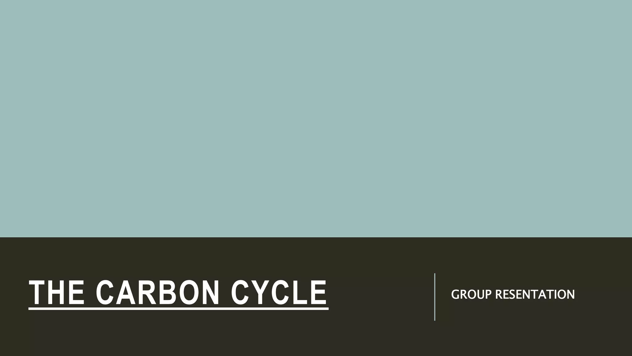 THE CARBON CYCLE.pptx