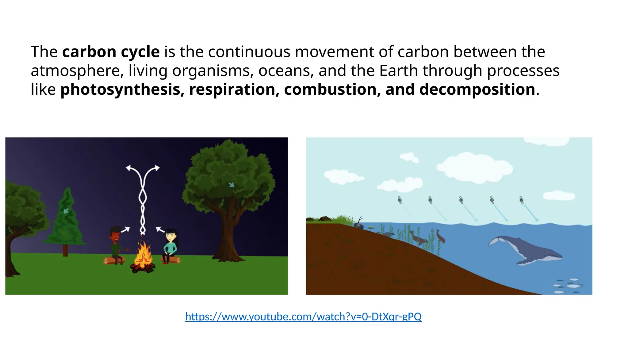 The carbon cycle ppt and how it works in life | PPT