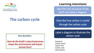The carbon cycle ppt and how it works in life | PPTX