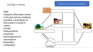 The carbon cycle ppt and how it works in life | PPT