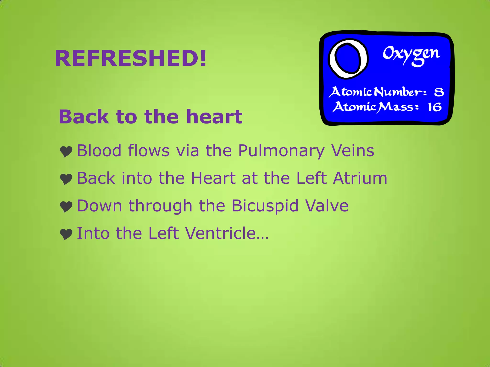 The Cardiac Conductionsystem Ppt
