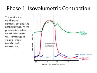 The cardiac cycle | PPT