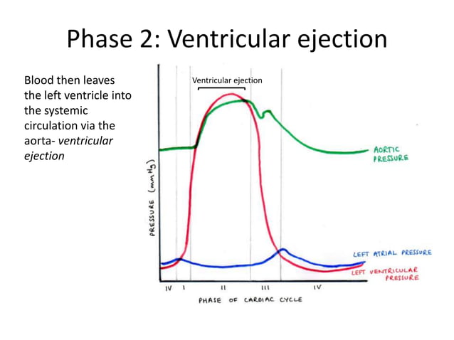 The cardiac cycle | PPT