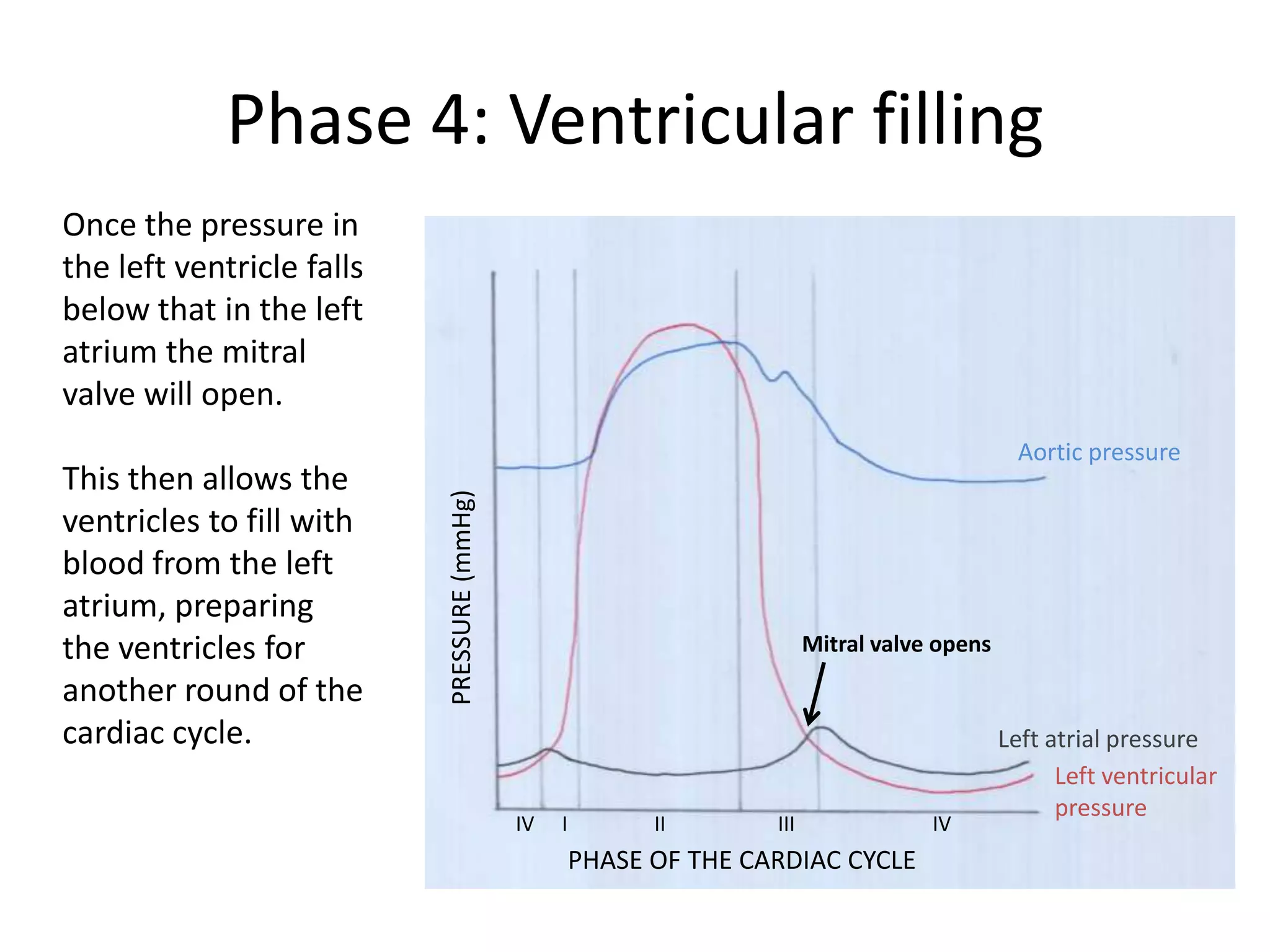 The cardiac cycle | PPTX