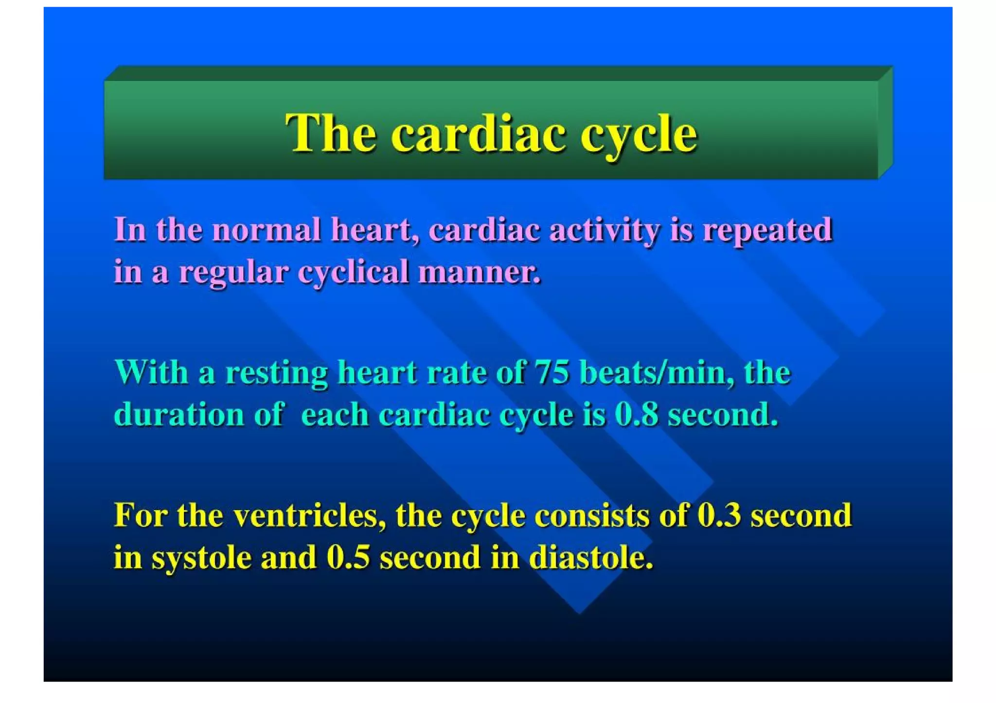 The Cardiac Cycle | PPT