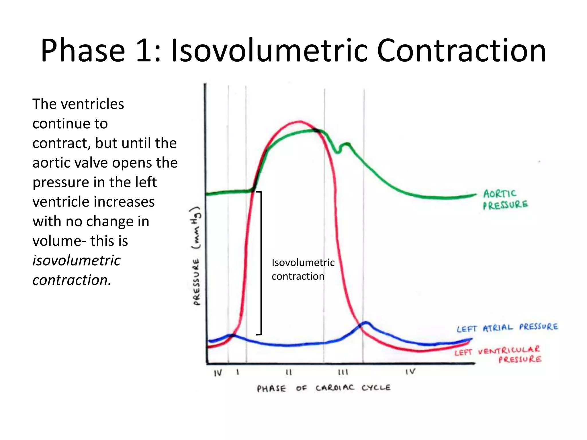 The cardiac cycle 2 | PPTX