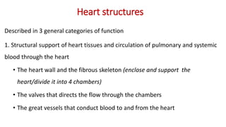 THE CARDIOVARSICULAR SYSTEM (CVS) _THE HEART.pptx