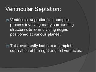 The cardiovascular system | PPTX