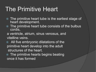 The cardiovascular system | PPTX