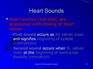 The cardiovascular system | PPT