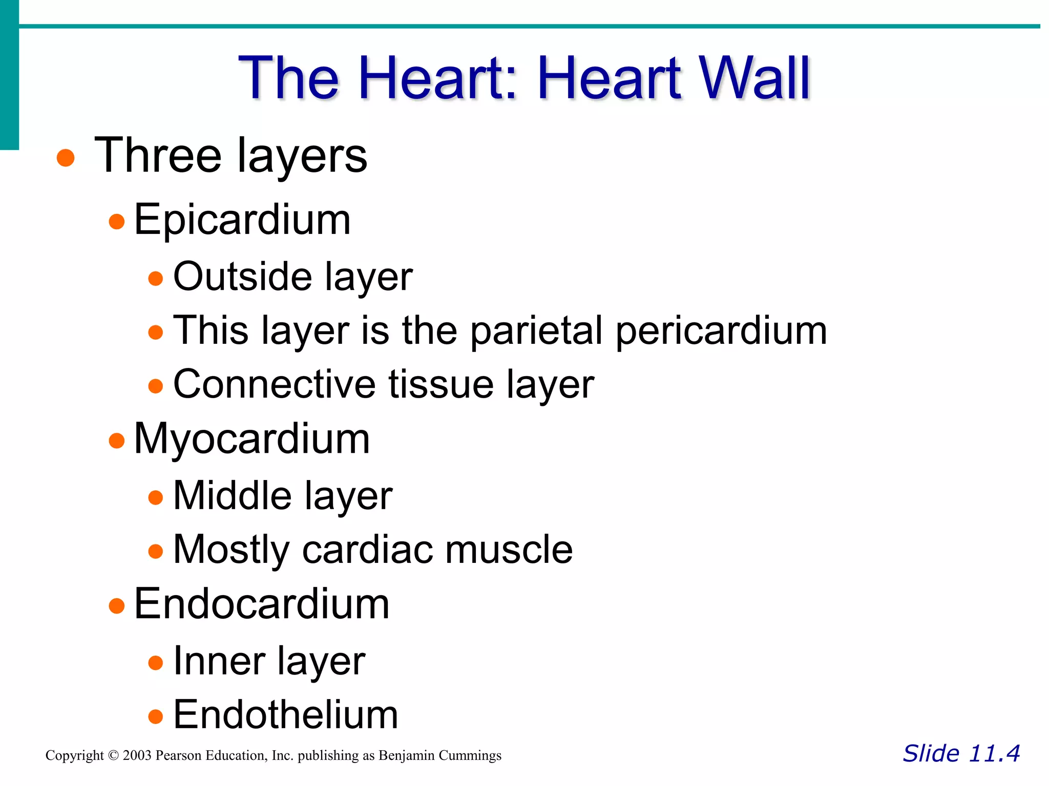 The cardiovascular system.ppt
