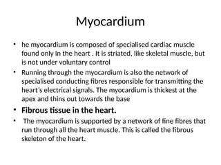 The cardiovascular system bs nursing.pptx