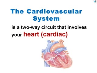 The cardiovascular system for demo | PPT