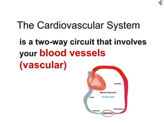 The cardiovascular system for demo | PPT