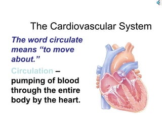 The cardiovascular system for demo | PPT