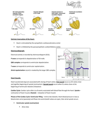 The cardiovascular system heart all | PDF