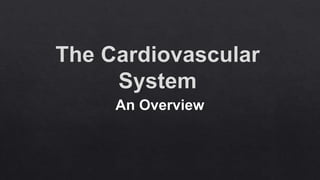 The Cardiovascular System - An Overview | PPT