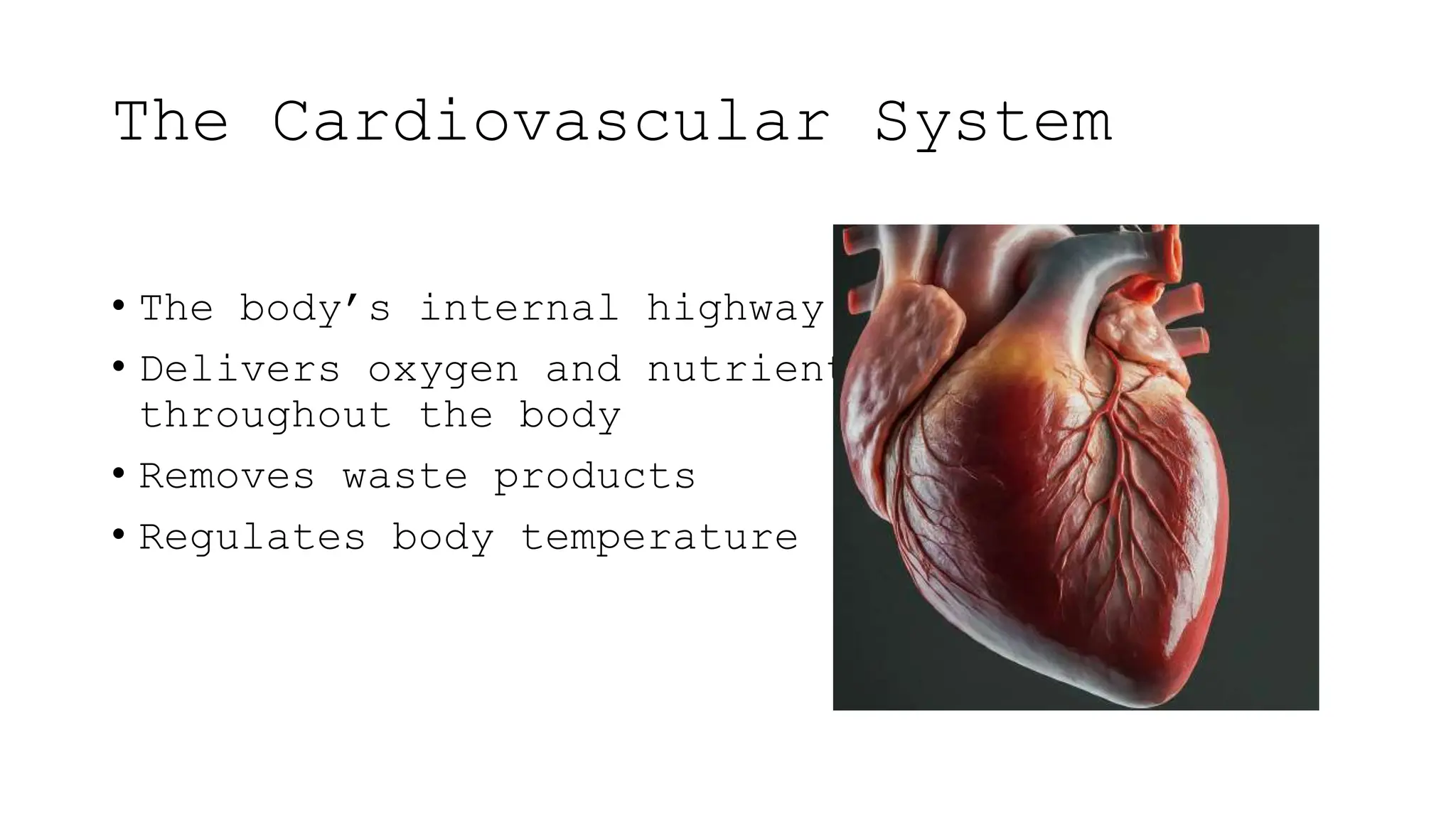 The Cardiovascular System_The Heart and Blood Vessels.pptx