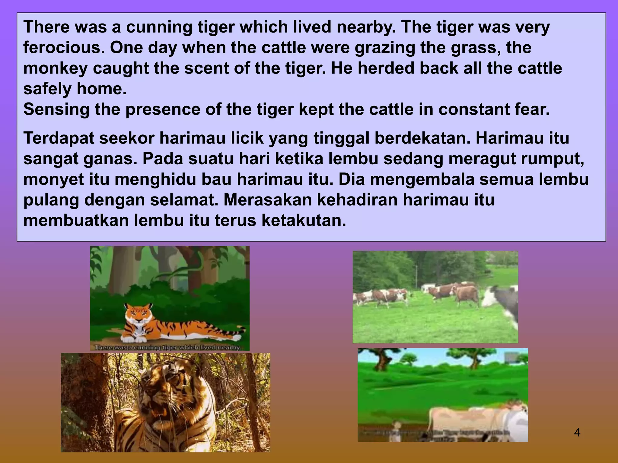 The Careless Tiger - An Aesop's Fable for Kids (Eng. & Malay).ppt