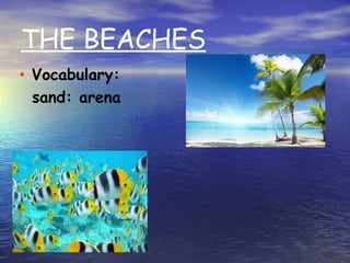 The caribbean, a paradise | PPT