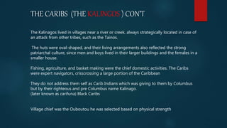 The Caribs by Suresh Bedasee | PPTX