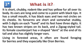 The cartoon hungama | PPT