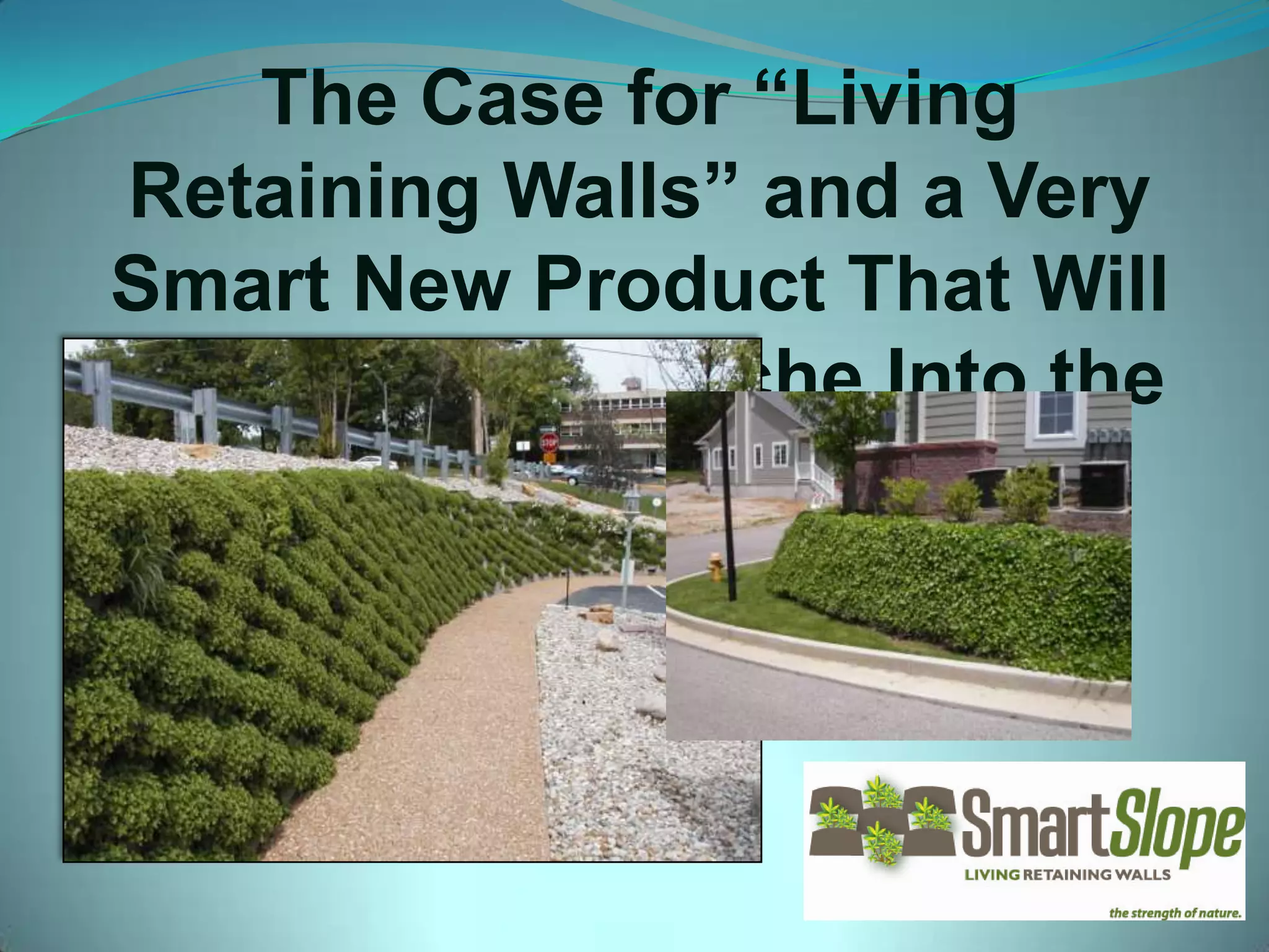 The case for living retaining walls and their movement from niche to ...