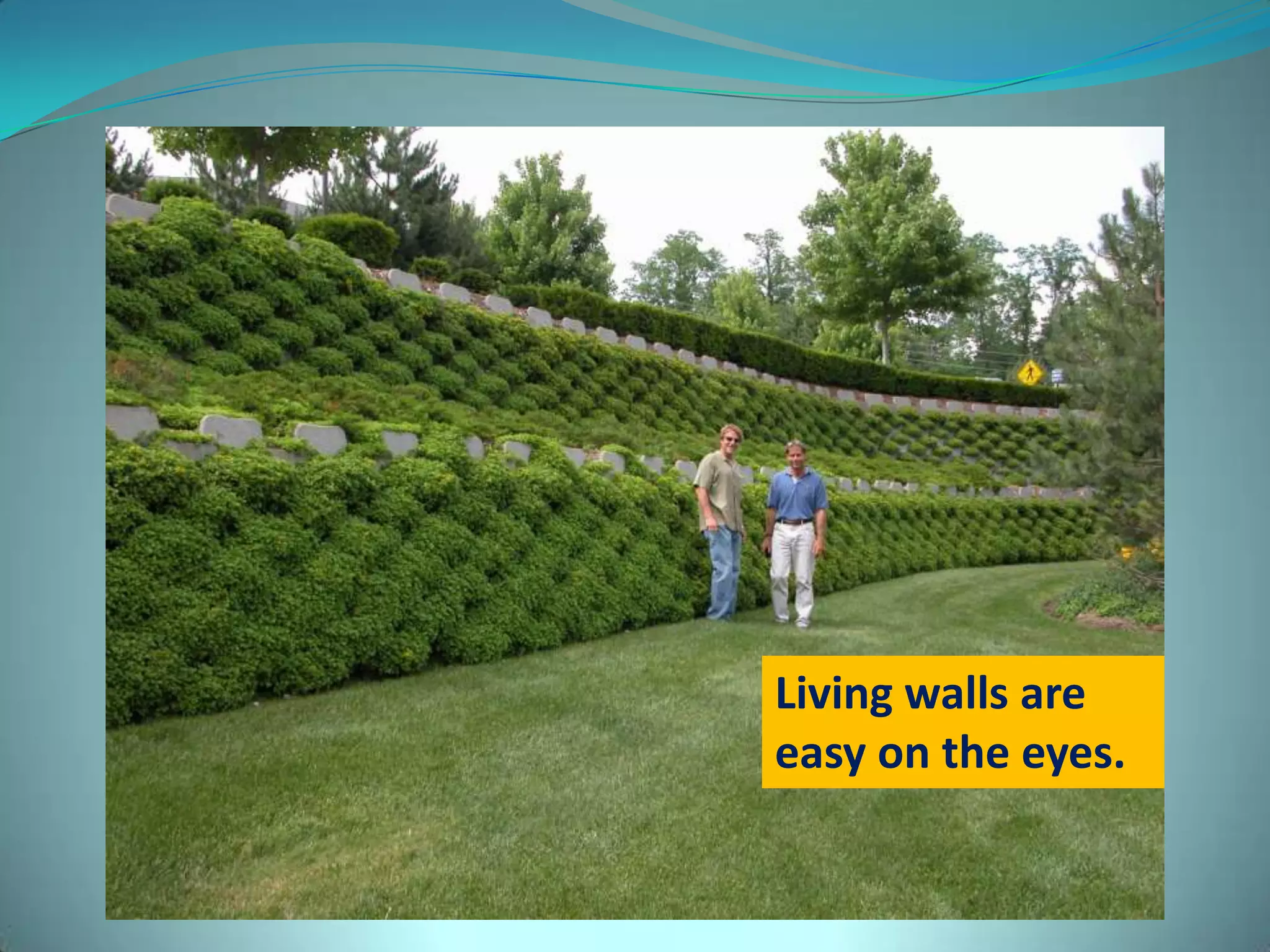 The case for living retaining walls and their movement from niche to ...