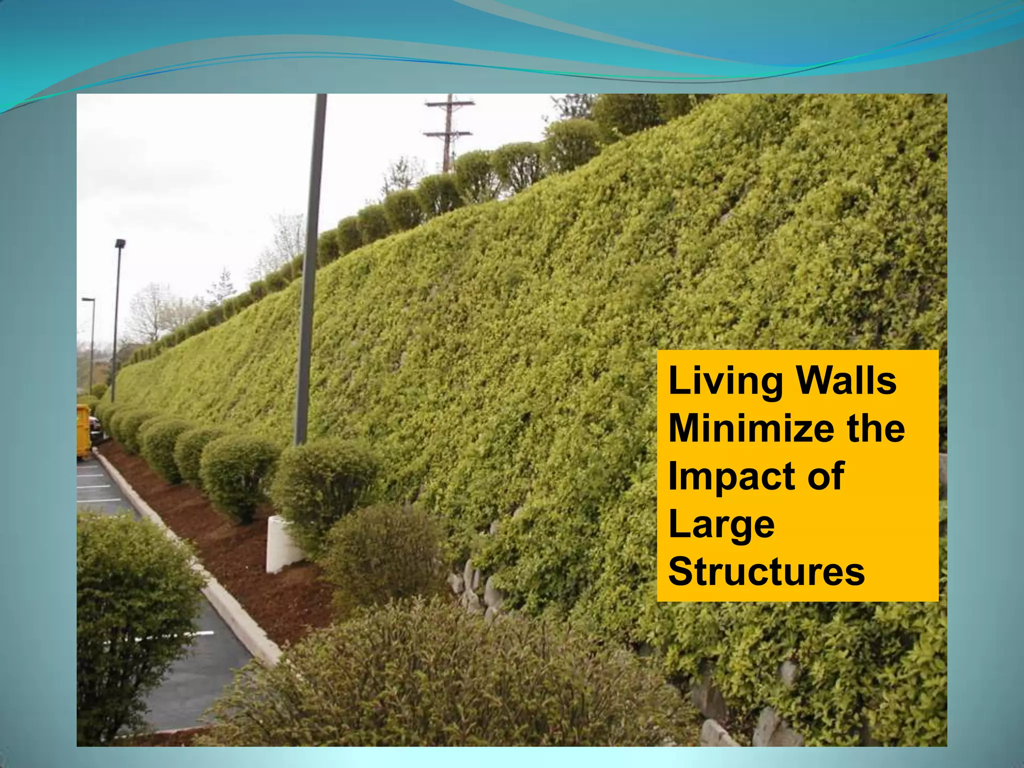 The case for living retaining walls and their movement from niche to ...