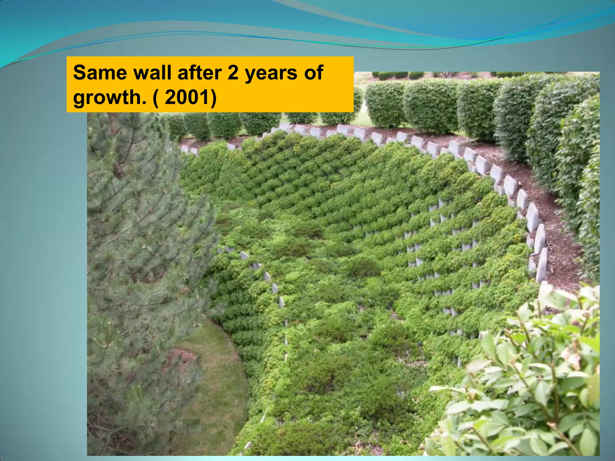 The case for living retaining walls and their movement from niche to mainstream | PPTX