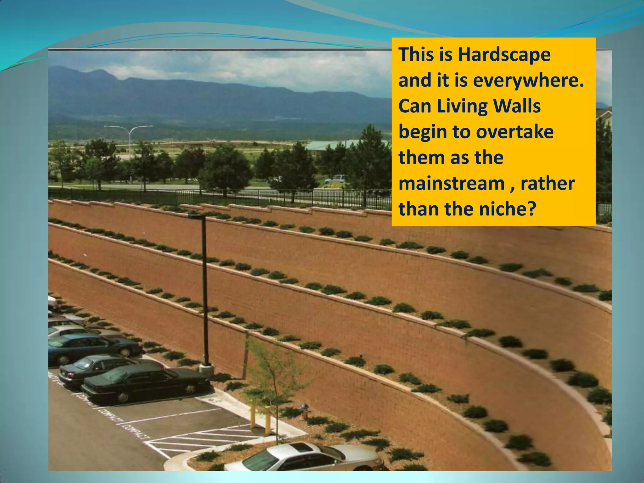 The case for living retaining walls and their movement from niche to ...