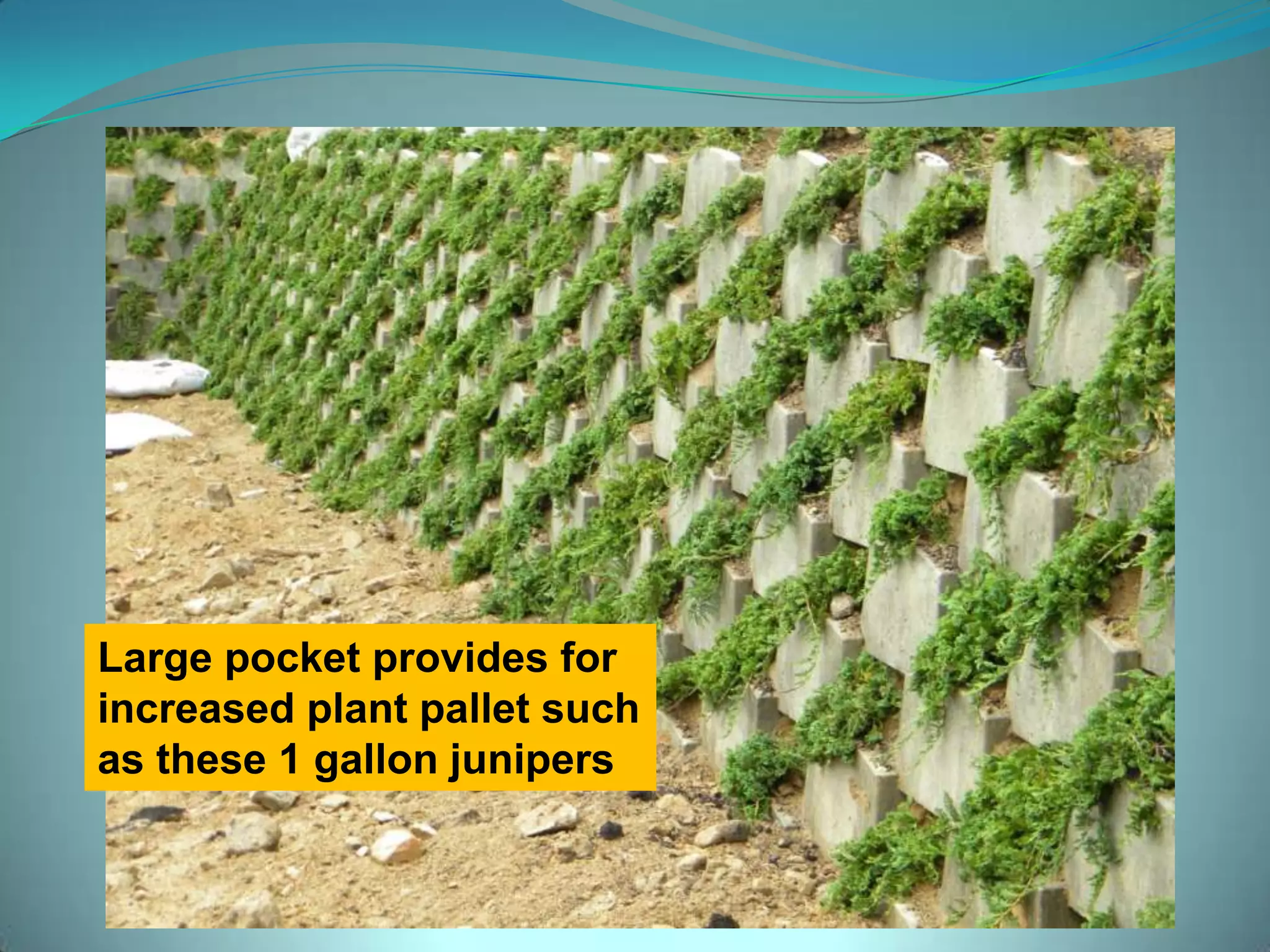 The case for living retaining walls and their movement from niche to ...