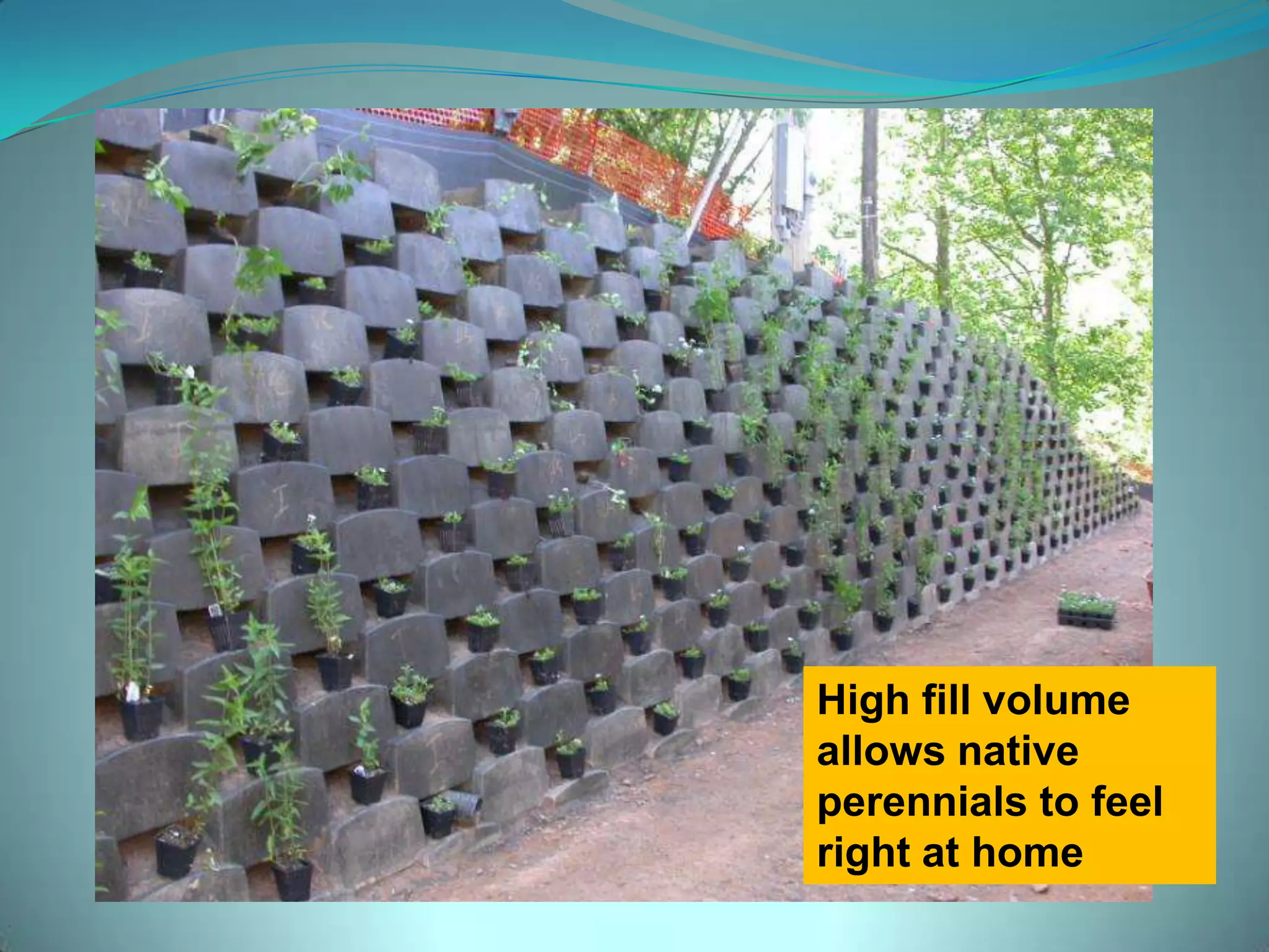 The case for living retaining walls and their movement from niche to mainstream | PPTX