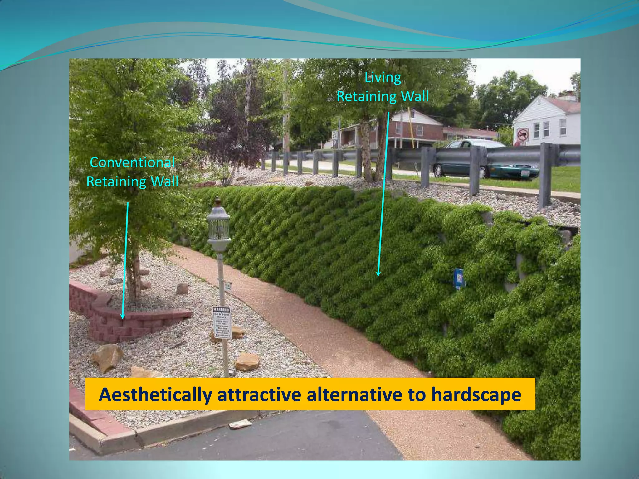 The case for living retaining walls and their movement from niche to ...